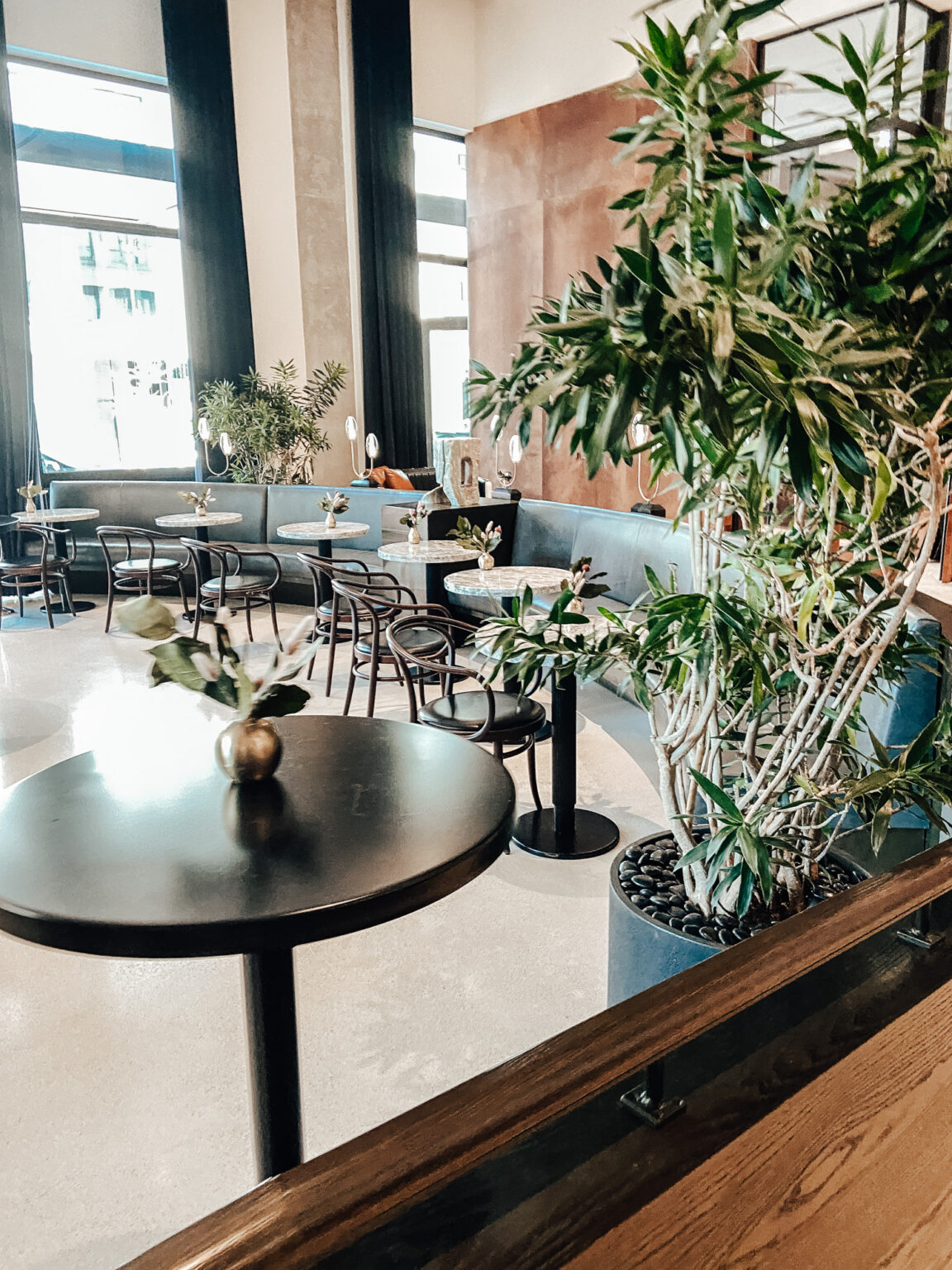 review | thompson denver – Uniquely Discovered